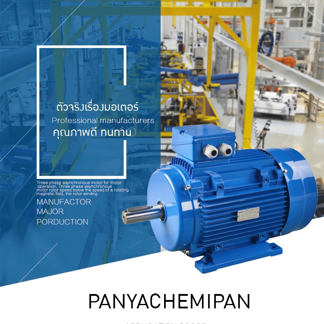 มอเตอร์ มอเตอร์ไฟฟ้า 4 pole/6 pole /8 pole 380V รุ่น MS - ปัญญาเคมี ...