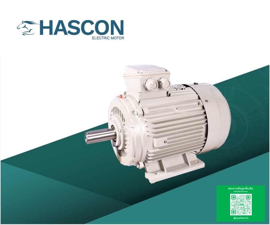Hascon electric motor Model:HC-250M1-4,55kw 380/660V - southern ...